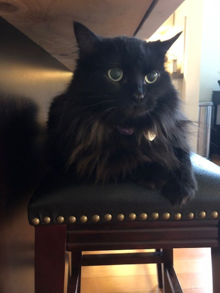 For Manuel, Donating Blood and Platelets is a Family Affair