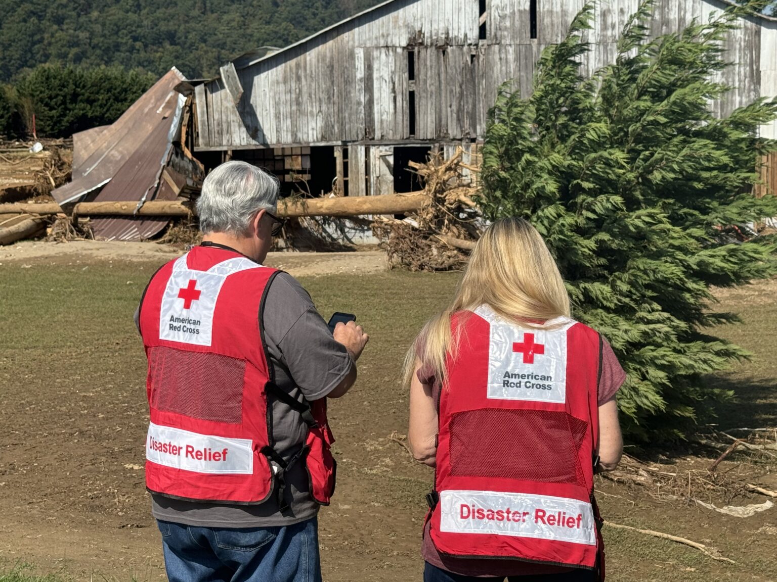 What is Red Cross Month?