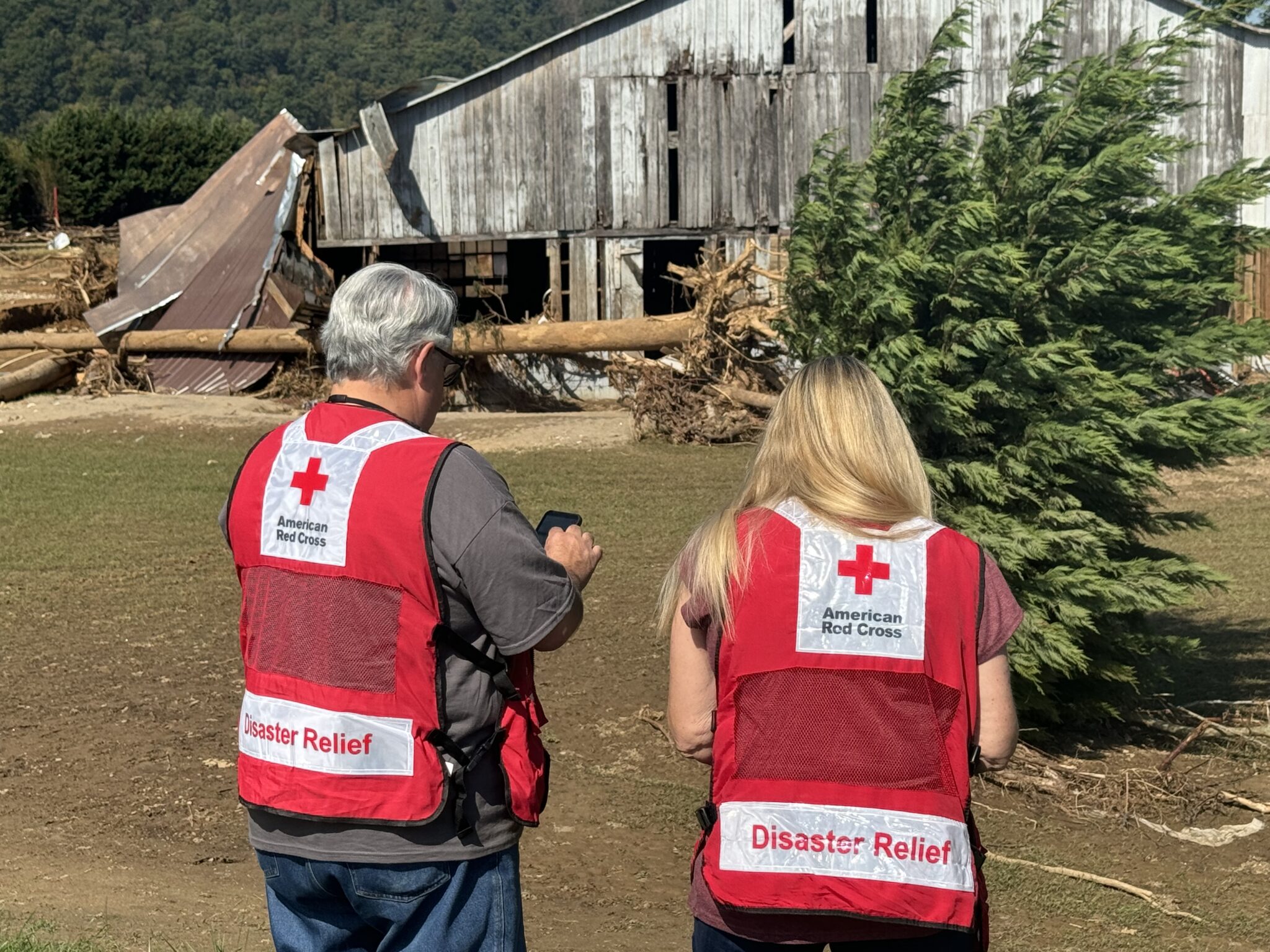 What is Red Cross Month?